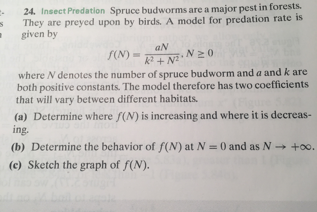 Solved - 24. Insect Predation Spruce budworms are a major | Chegg.com