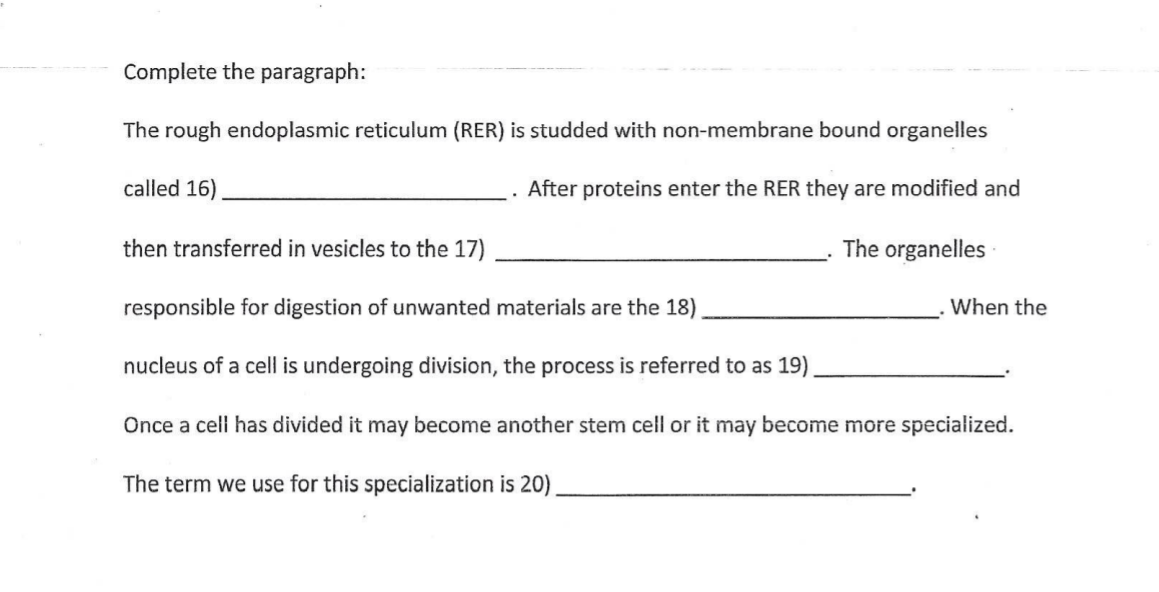 Solved Complete the paragraph: The rough endoplasmic | Chegg.com