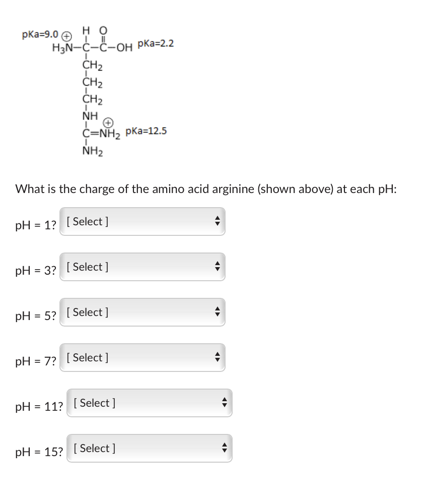 What is the charge of the amino acid arginine (shown | Chegg.com