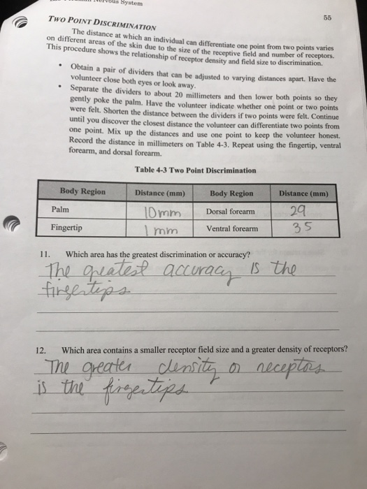 Solved bls System Two POINT DISCRIMINATION The distance at | Chegg.com