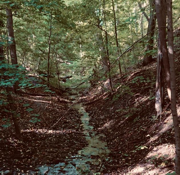 Solved Did this landscape evolve via creep processes or via | Chegg.com