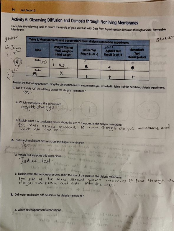 Solved Activity 6: Observing Diffusion and Osmosis through | Chegg.com
