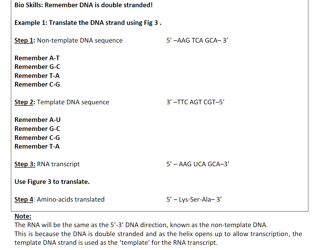 Solved The RNA will be the same as the 5’-3’ DNA direction, | Chegg.com