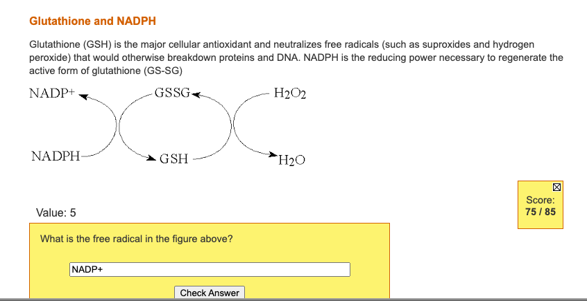 Solved Glutathione and NADPH Glutathione (GSH) is the major | Chegg.com