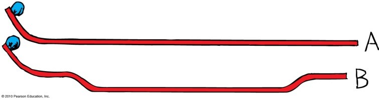 Solved Consider the identical balls released from rest on | Chegg.com