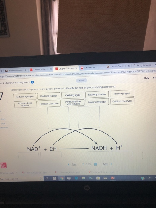 Solved Place each term or phrase in the proper position to | Chegg.com Solved Place each term or phrase in the proper position to | Chegg.com