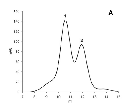 Solved You ran size-exclusion chromatography with a s75 | Chegg.com