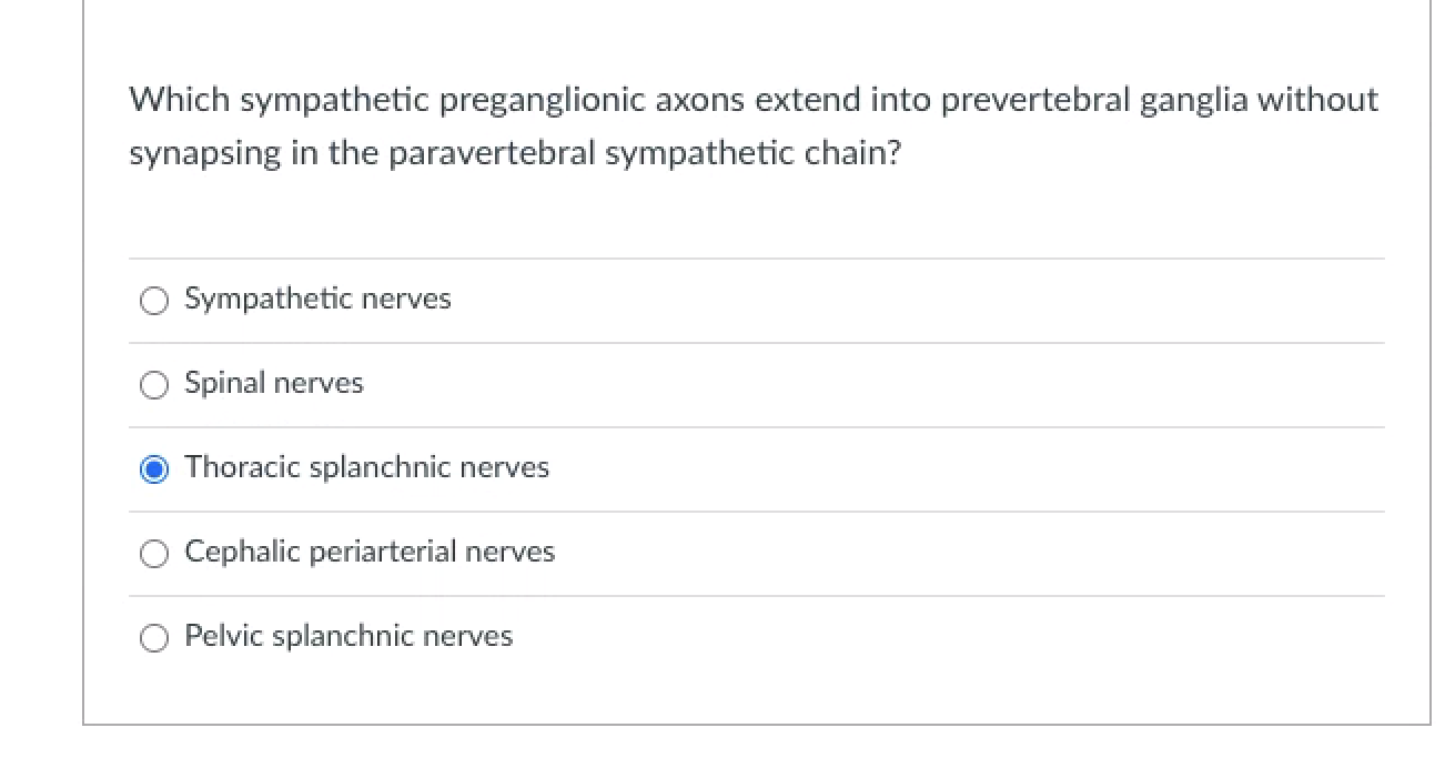 Solved Which sympathetic preganglionic axons extend into | Chegg.com