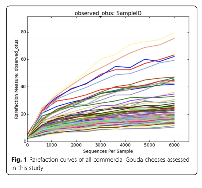 Solved What is a rarefaction curve and why do they show us | Chegg.com