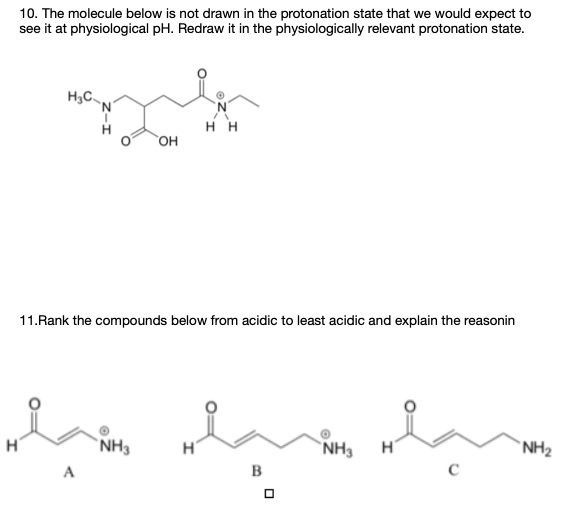 Solved 10. The molecule below is not drawn in protonation | Chegg.com