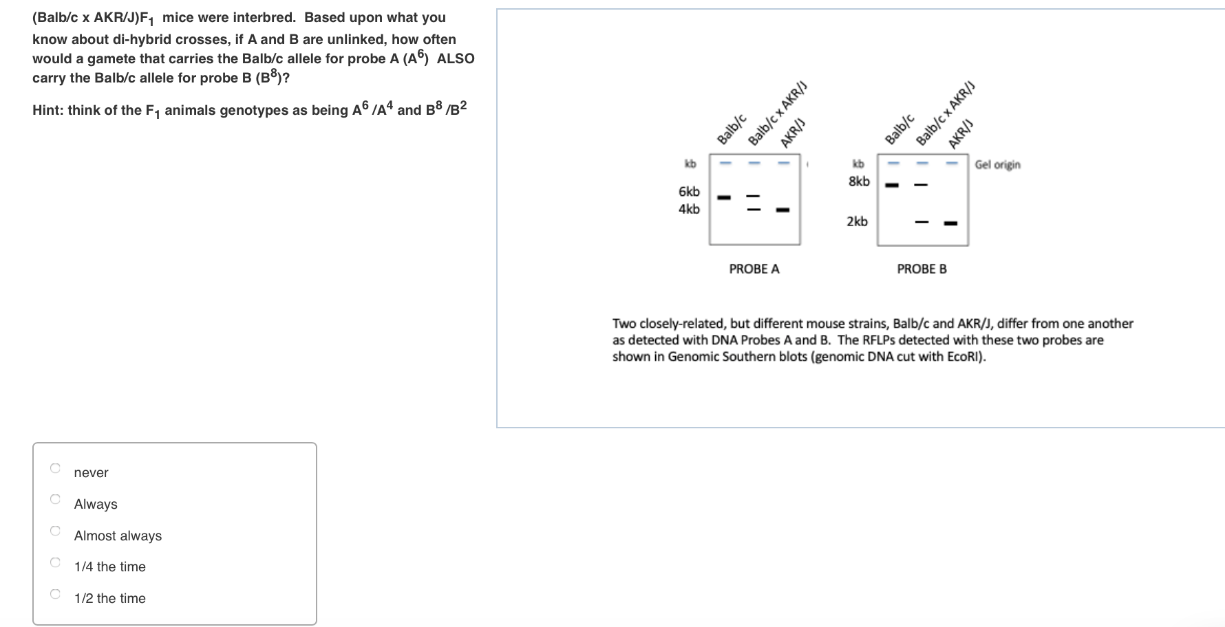 Solved Restriction Fragment Polymorphisms (RFLP) are a class | Chegg.com