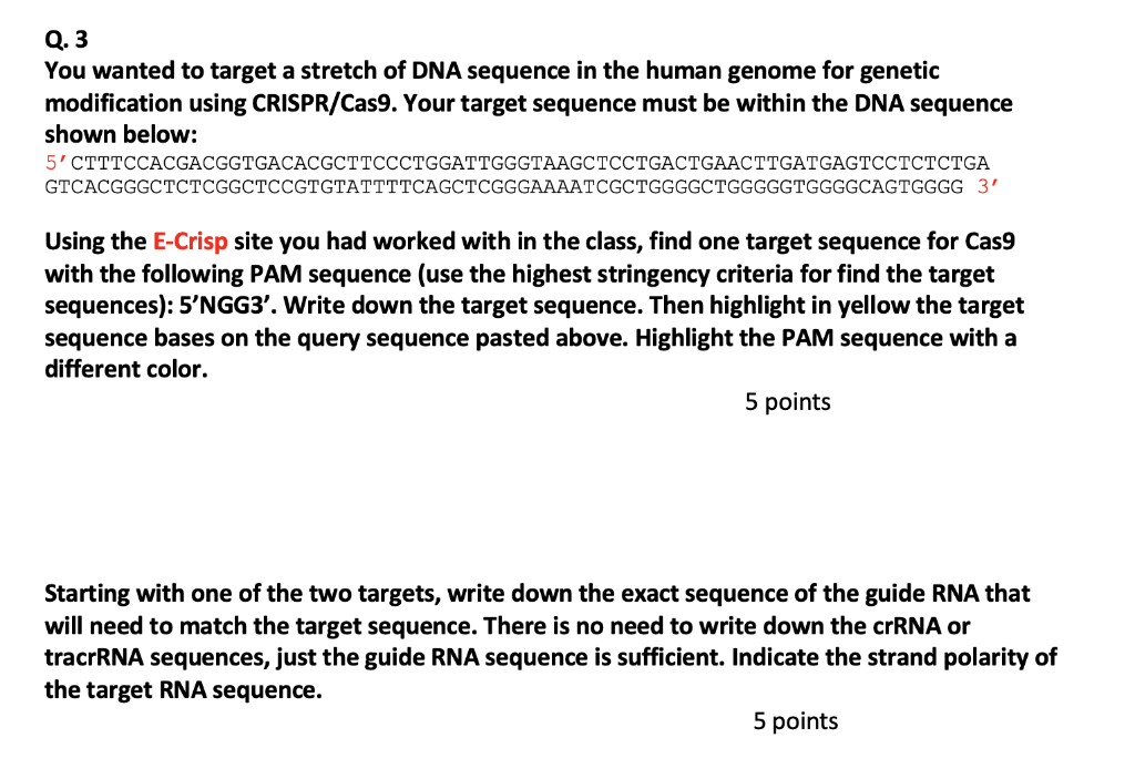 Q. 3 You wanted to target a stretch of DNA sequence | Chegg.com