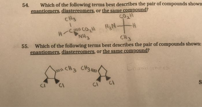 Solved Which of the following terms best describes the pair | Chegg.com