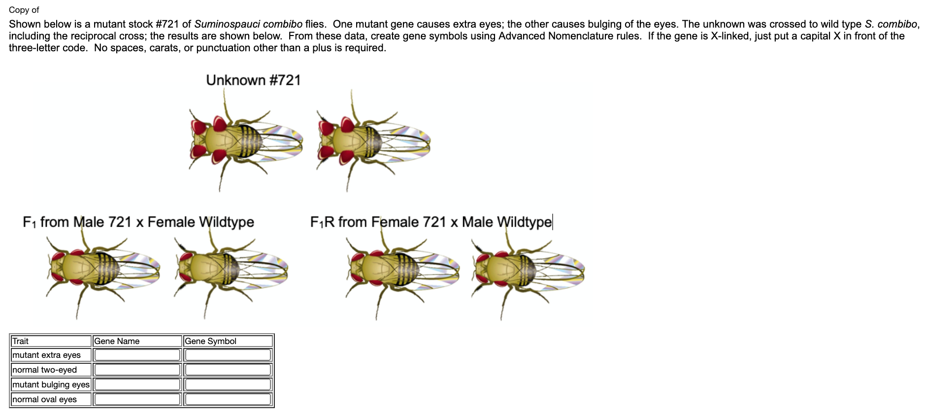 Solved Copy of Shown below is a mutant stock #721 of | Chegg.com