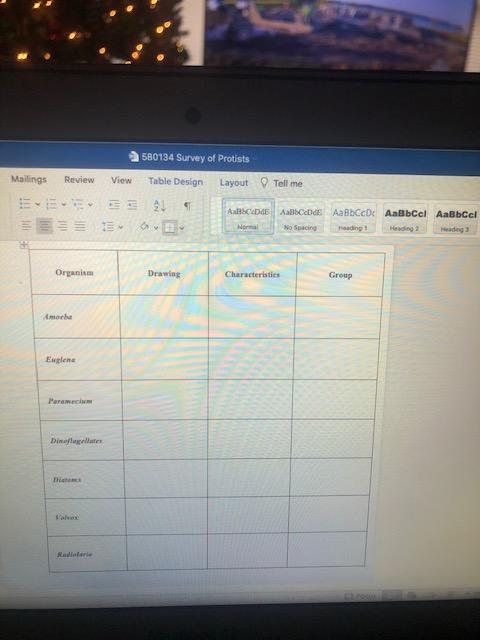 Solved Mailings Review View 580134 Survey Of Protists Table