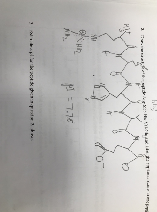 Solved ㄋ 2. Draw the structyfe of the peptide | Chegg.com