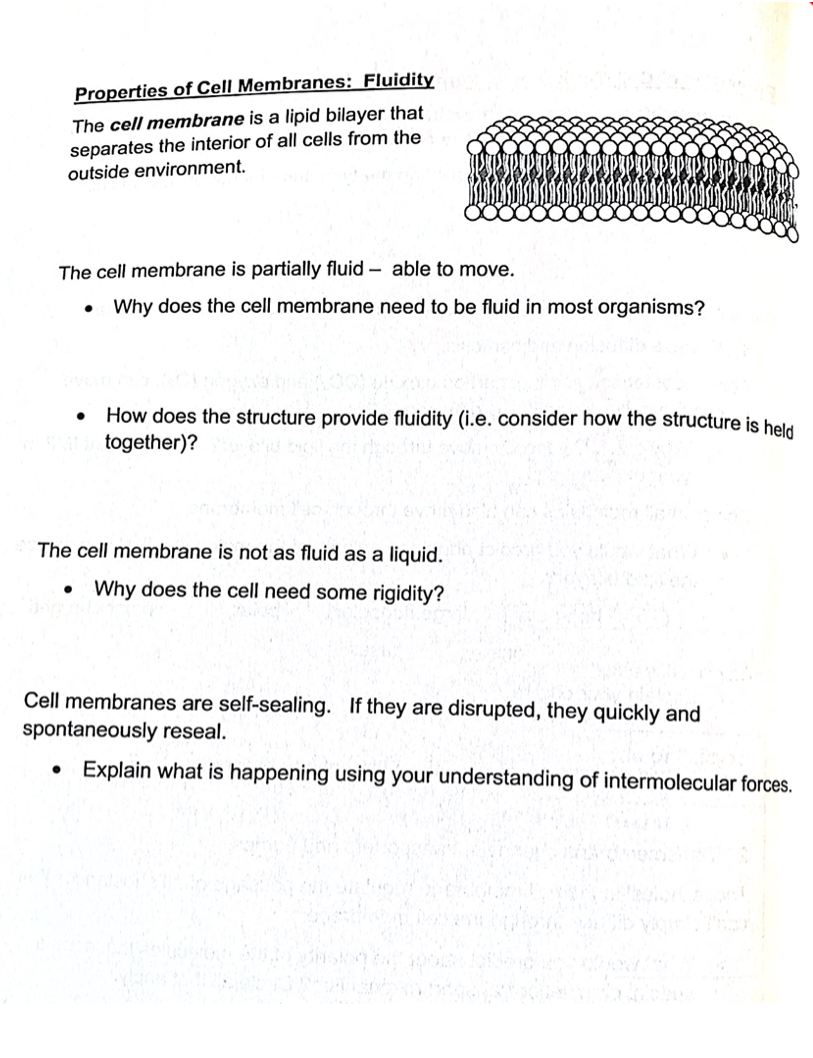 Solved Properties of Cell Membranes: Fluidity The cell | Chegg.com