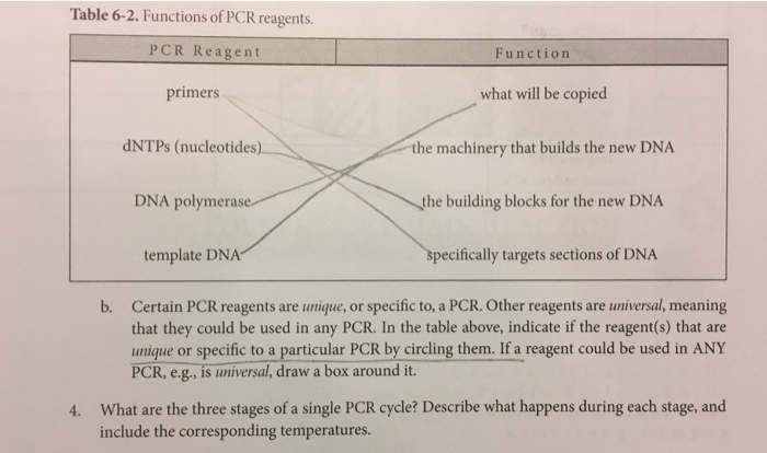 Solved Table 6-2. Functions of PCR reagents. PCR Reagent | Chegg.com