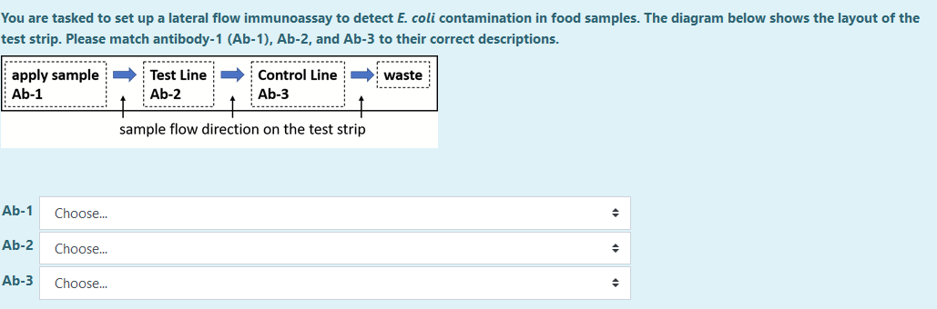 Solved You are tasked to set up a lateral flow immunoassay | Chegg.com