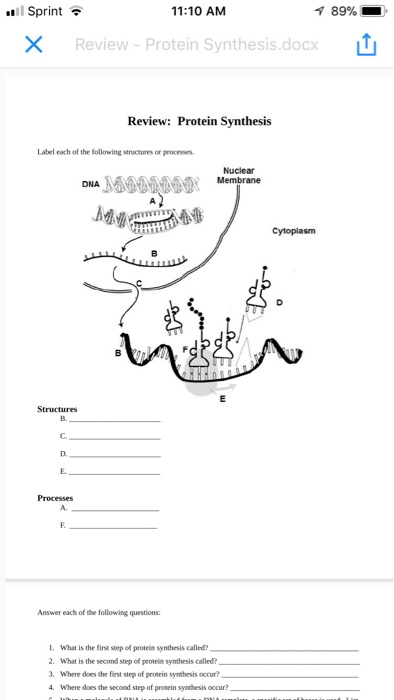 Solved .'Il Sprint 1:10 AM 89% × Review - Protein | Chegg.com