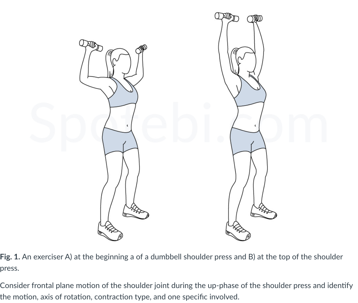 Solved An exerciser A) at the beginning a of a dumbbell | Chegg.com