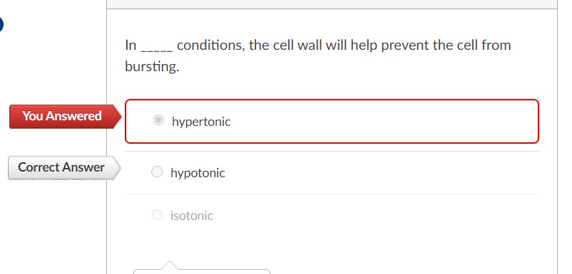 Solved write a rationale for why that answer was correct and | Chegg.com
