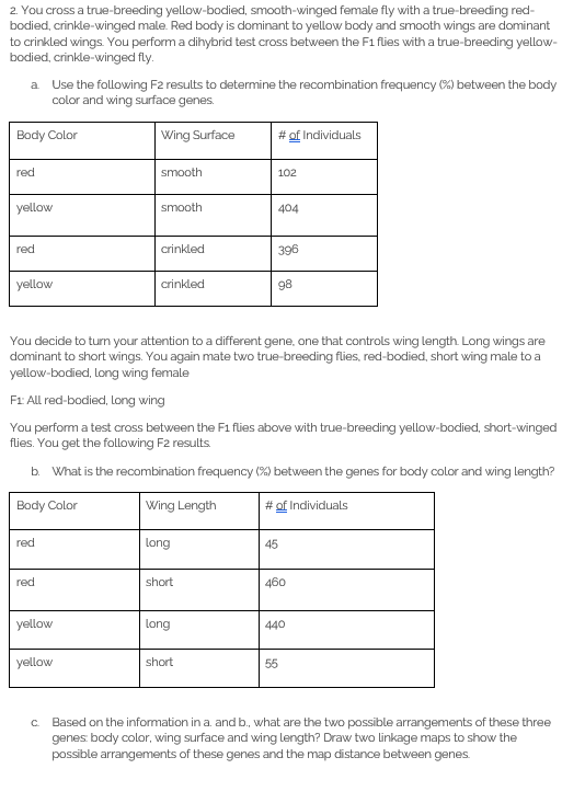 Solved 2. You cross a true-breeding yellow-bodied, | Chegg.com