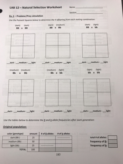 Solved LAB 12-Natural Selection Worksheet Name Section Ex. | Chegg.com