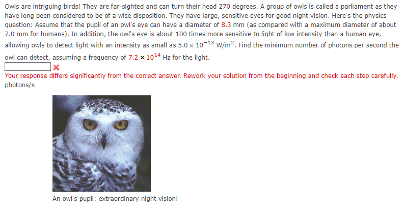 Solved Owls are intriguing birds! They are far-sighted and | Chegg.com