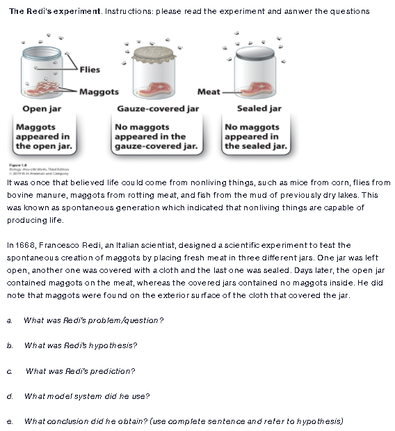 Solved The Redi's experiment. Instructions: please read the | Chegg.com