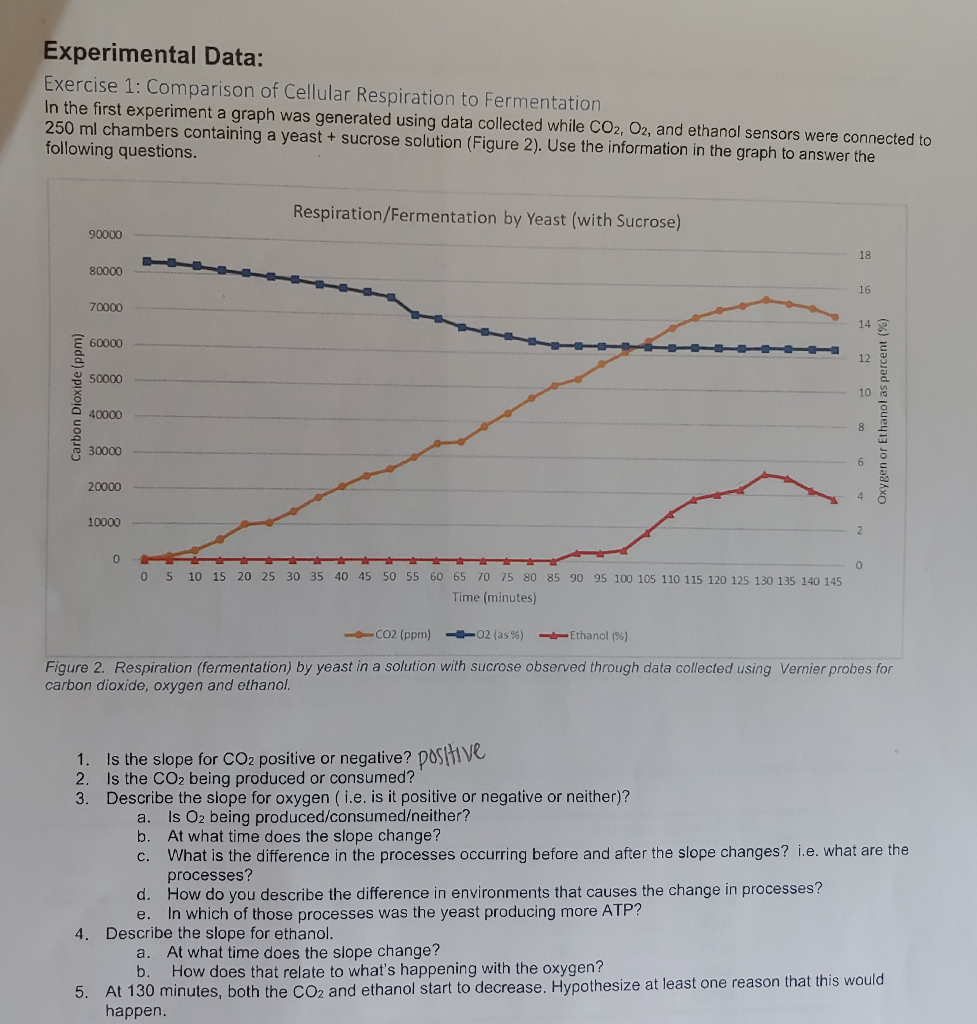 Solved Experimental Data: Exercise 1: Comparison of Cellular | Chegg.com