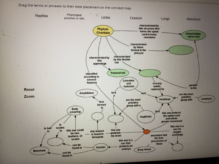 Solved Drag the terms or phrases to their best placement on | Chegg.com