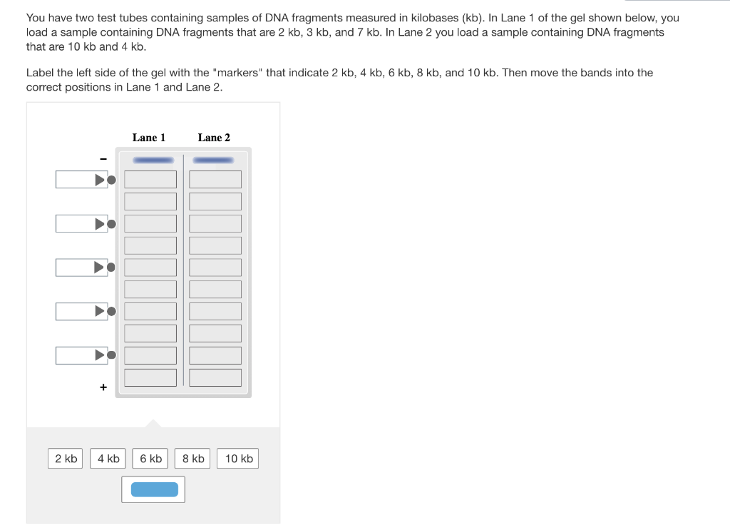 Solved You have two test tubes containing samples of DNA | Chegg.com