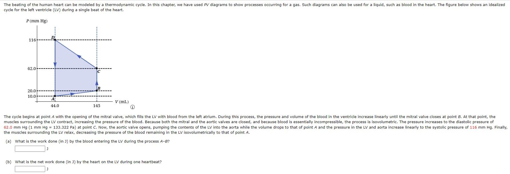 Solved the muscles surrounding the LV relax, decreasing the | Chegg.com