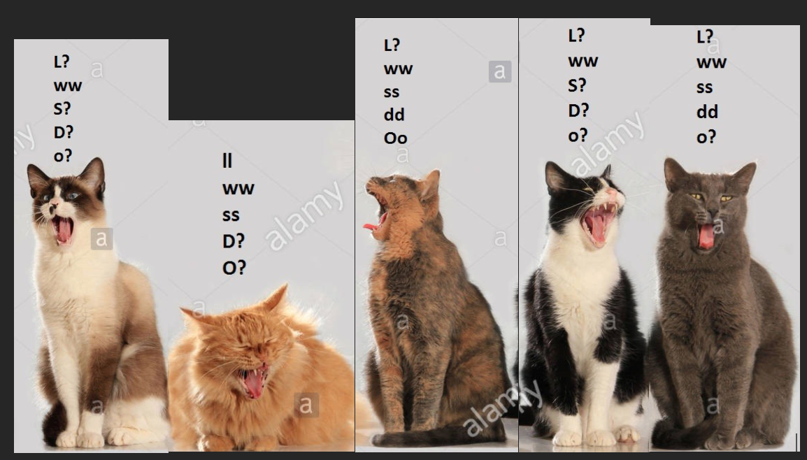 Solved Phenotypic guide to genotypes Cat #1 Cat #2 Cat's | Chegg.com