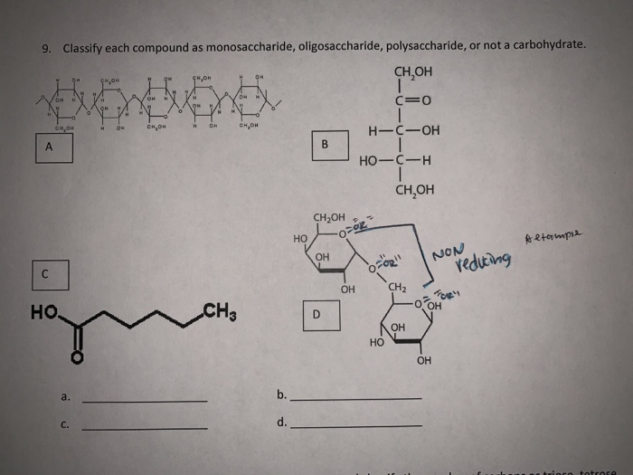 Solved 9. Classify each compound as monosaccharide, | Chegg.com
