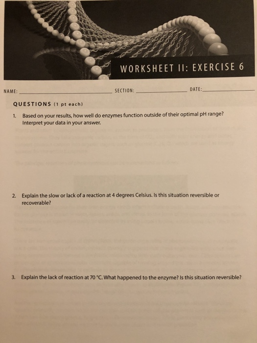 Solved WORKSHEET: EXERCISE 6 NAME: SECTION : DATE: QUESTIONS | Chegg.com