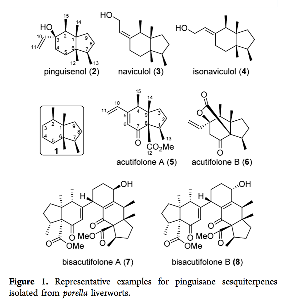 Solved What is structurally significant about the natural | Chegg.com