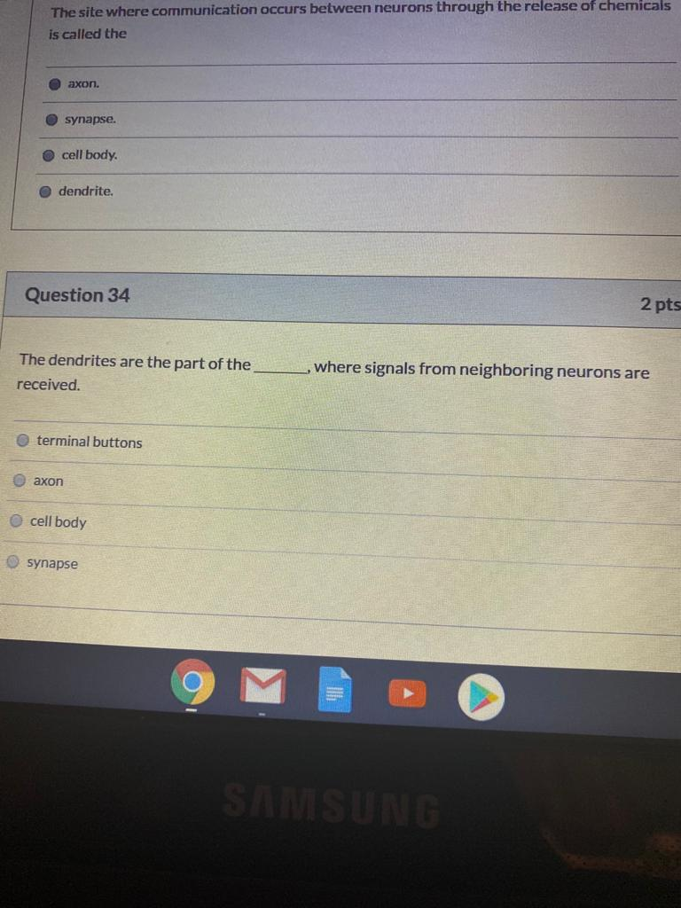 Solved The site where communication occurs between neurons | Chegg.com
