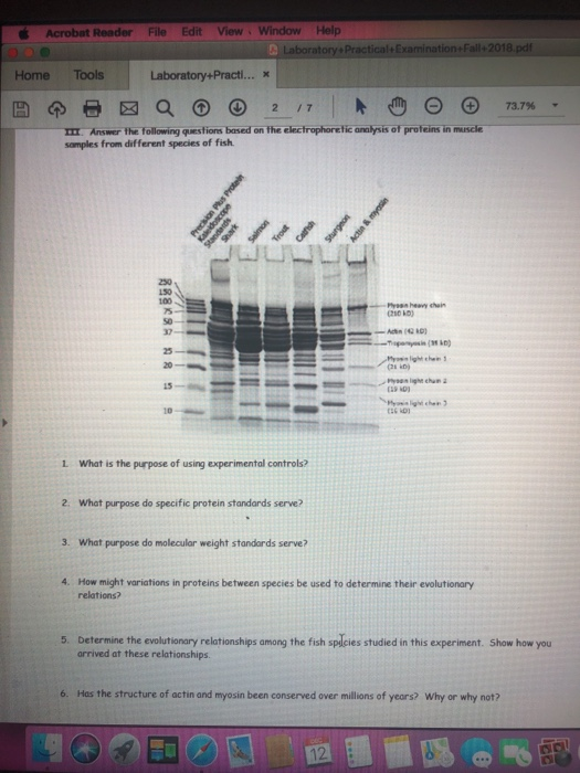 Solved Acrobat Reader File Edit View Window Help Home Tools | Chegg.com