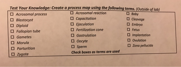 Solved Test Your Knowledge: Create a process map using the | Chegg.com