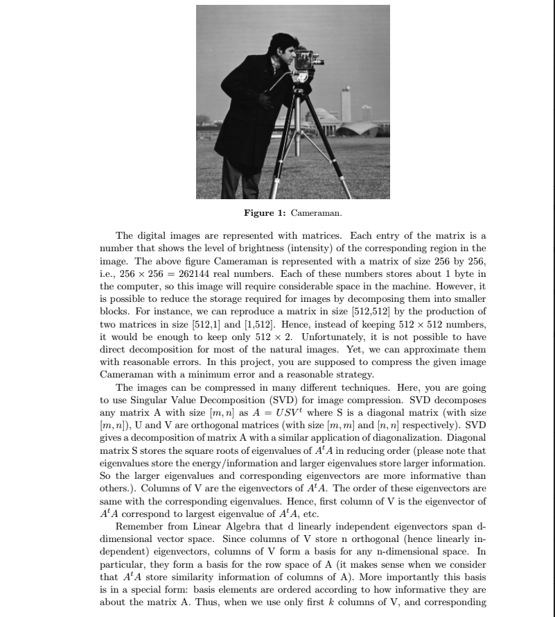 Solved Figure 1: Cameraman. The digital images are | Chegg.com