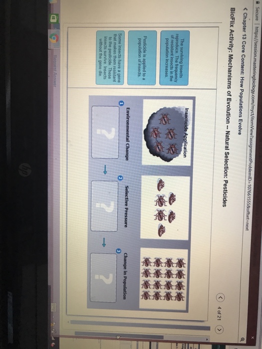 Solved -10766155 Chapter 13 Core Content: How Populations | Chegg.com