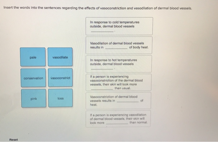 Solved Insert the words into the sentences regarding the | Chegg.com