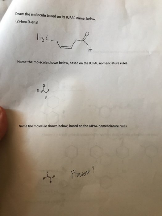 Solved Draw the molecule based on its IUPAC name, below. | Chegg.com