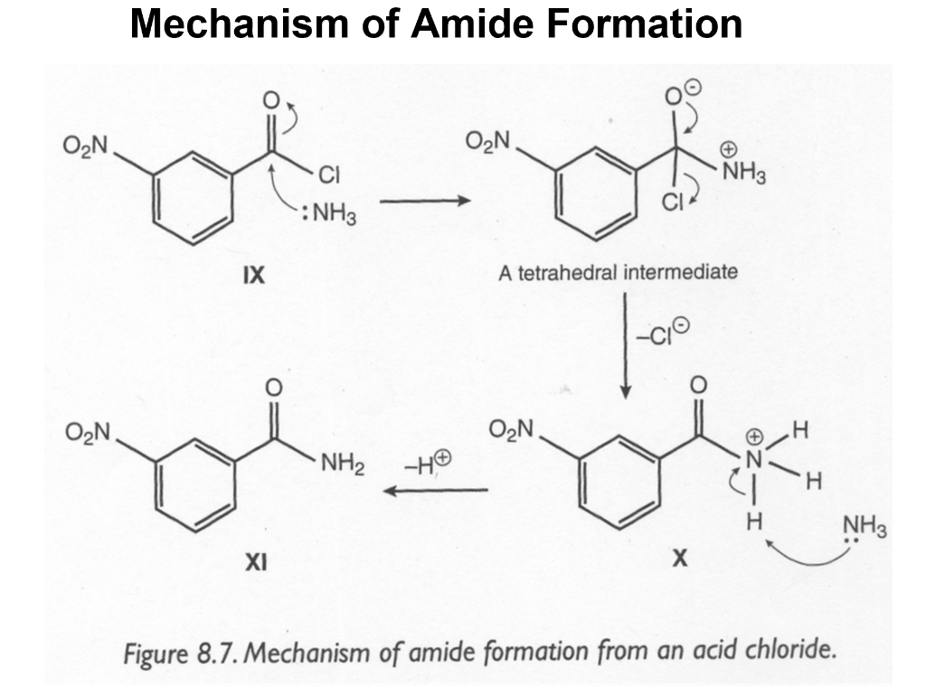 Solved Data And Results Weight of 3-nitrobenzamide = 0.28 | Chegg.com