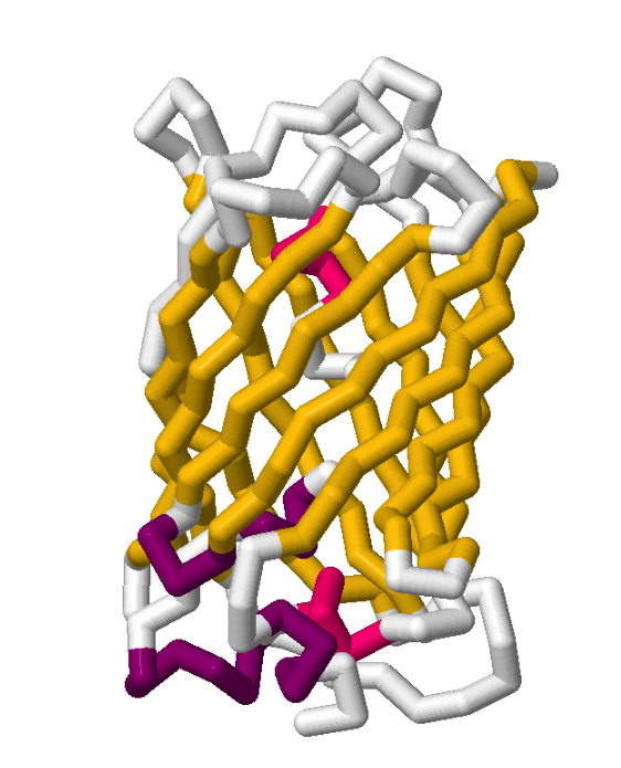 Solved To look for a pattern in the hydrogen bonding in | Chegg.com