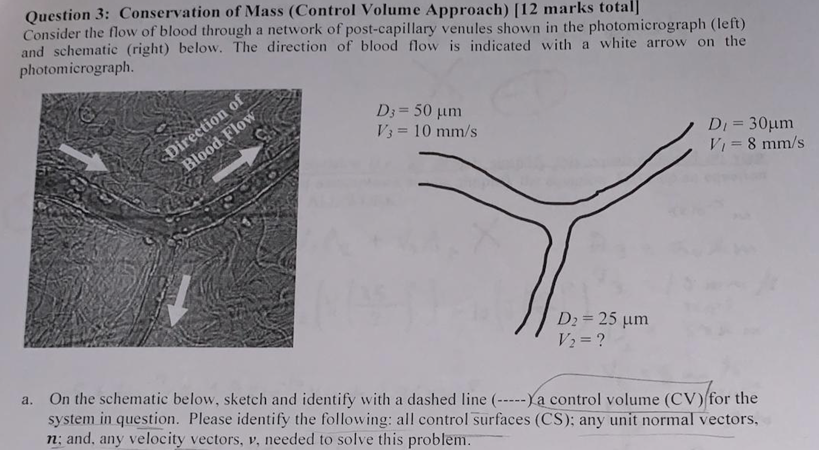 Solved Question 3: Conservation of Mass (Control Volume | Chegg.com