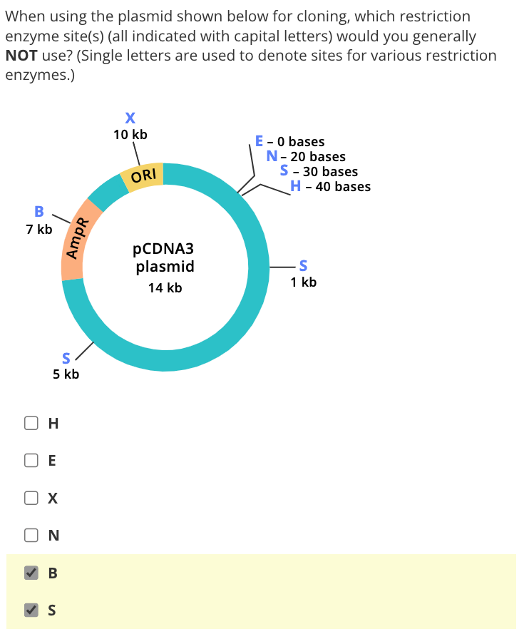 Solved When using the plasmid shown below for cloning, which | Chegg.com