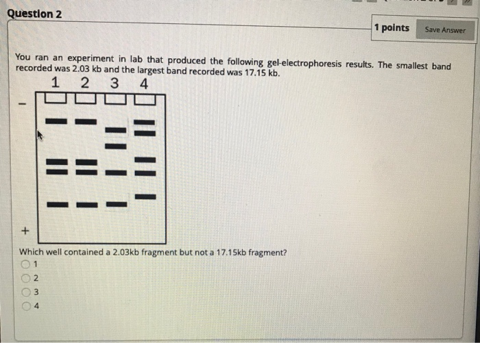 Solved uestion 2 1 points Save Answer You ran an experiment | Chegg.com Solved uestion 2 1 points Save Answer You ran an experiment | Chegg.com